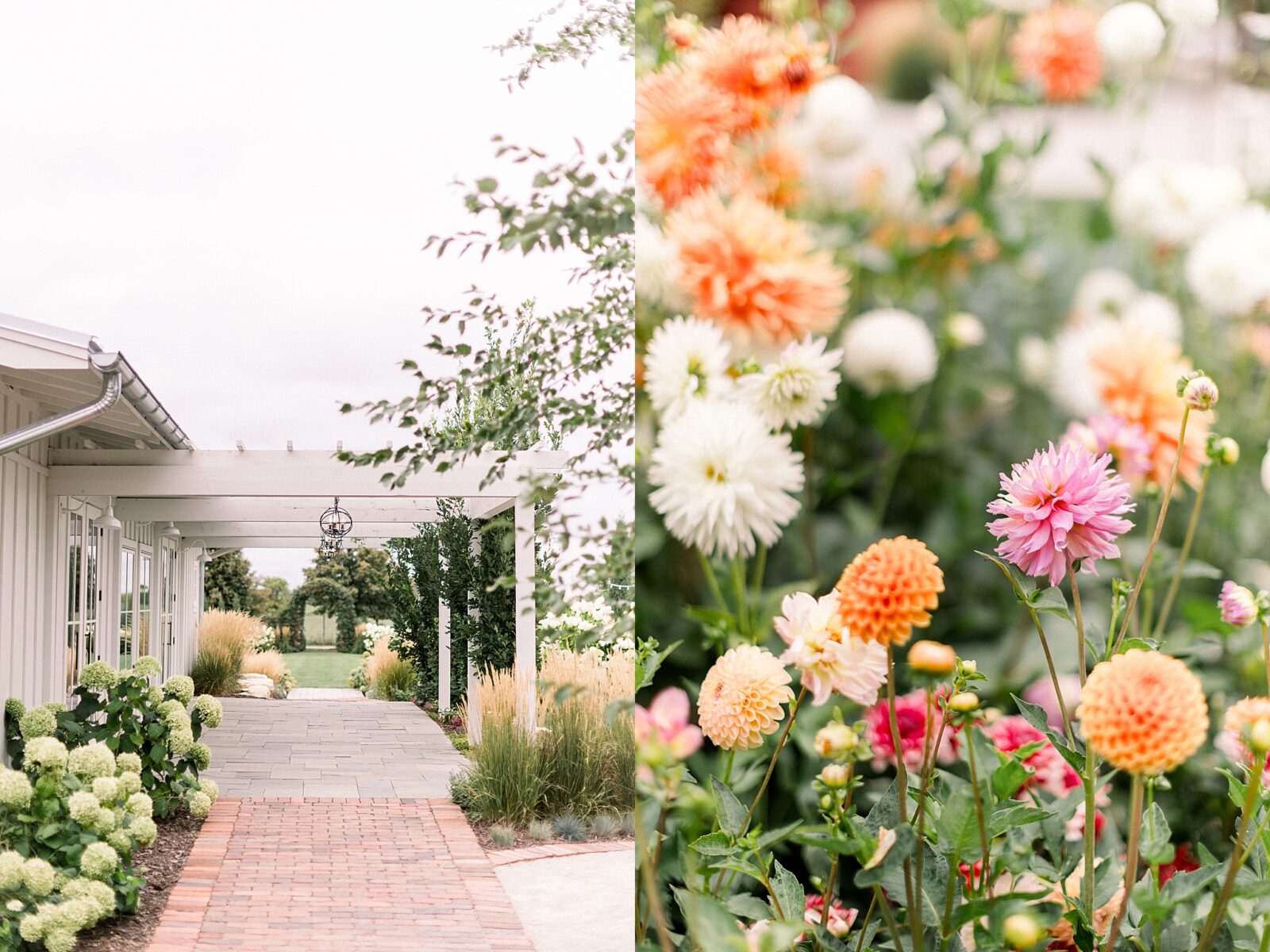 Wedding at Redeemed Farm | Olivia Beyers Photography